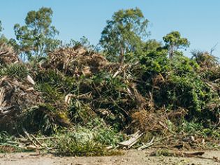 Waste & Recycling - Townsville City Council